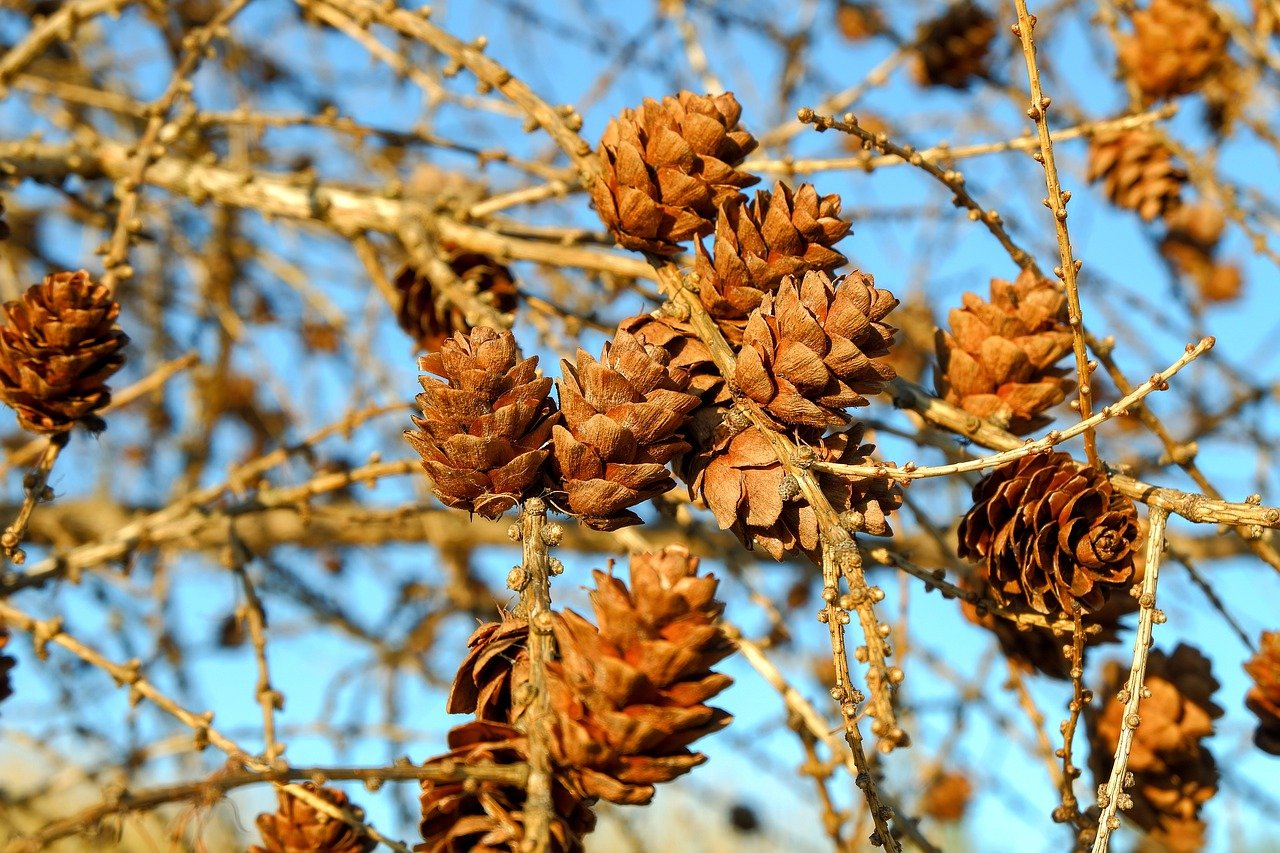 Was ist eine Beule? - X-stat